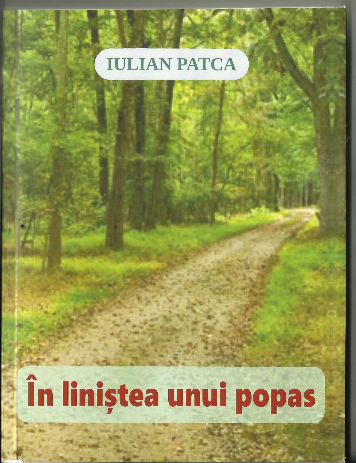 Întoarcerea la proza scurtă “ În liniștea unui popas“ de Iulian Patca ...