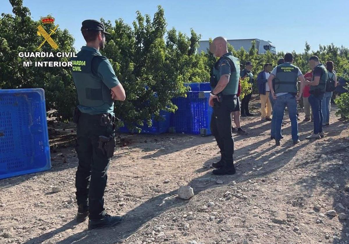 SCLAVIA MODERNĂ ÎN SPANIA: 52 ROMÂNI ELIBERAȚIFADERE: CERE MĂSURI ...