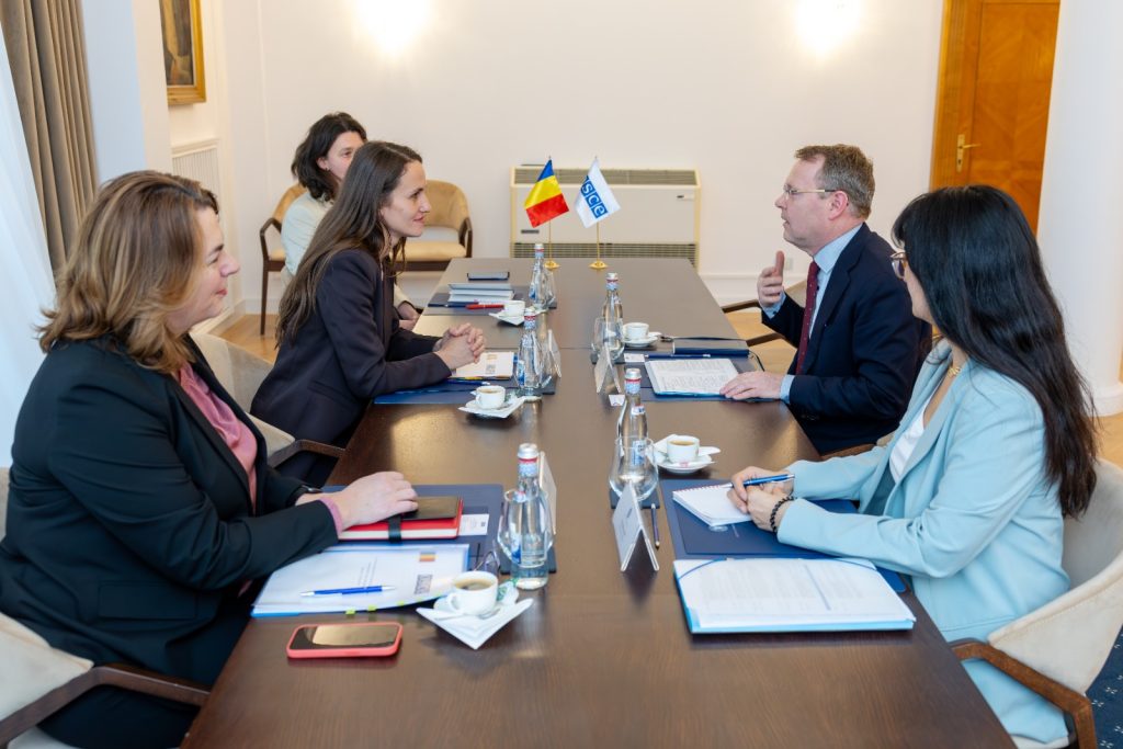 Primirea de către ministrul afacerilor externe, Oana Țoiu, a Înaltului ...